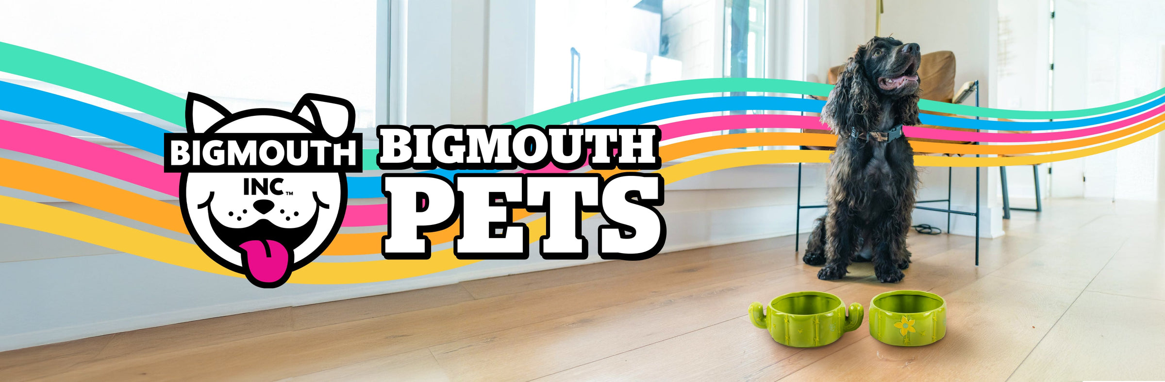 BigMouth Pets | BigMouth Inc
