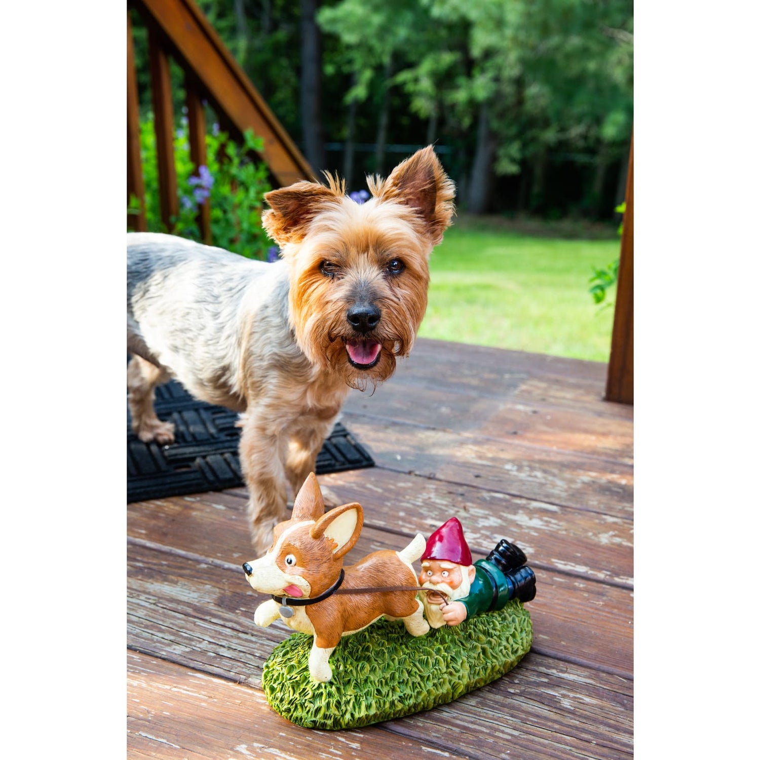 Giddy Up Doggy Gnome