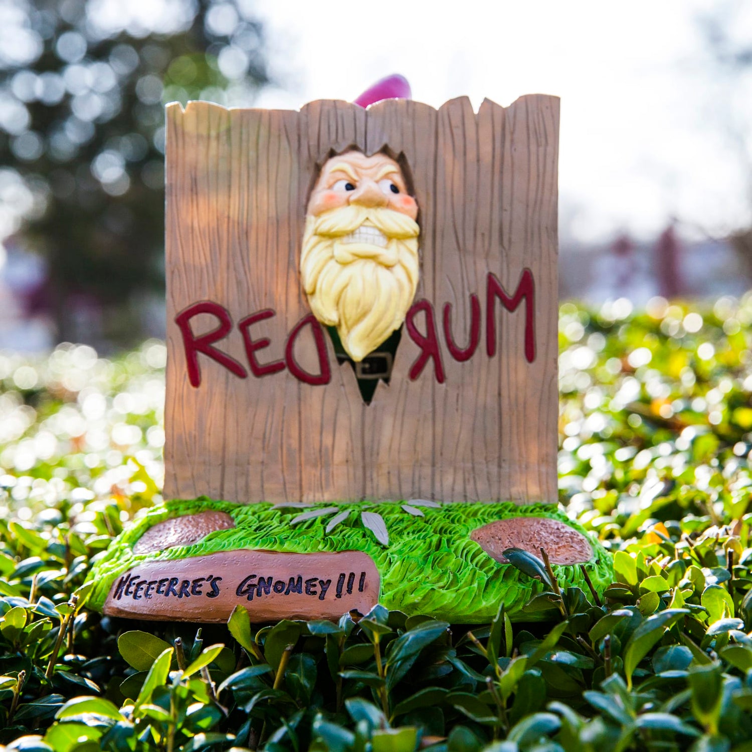 The "Here's Gnomey" Garden Gnome