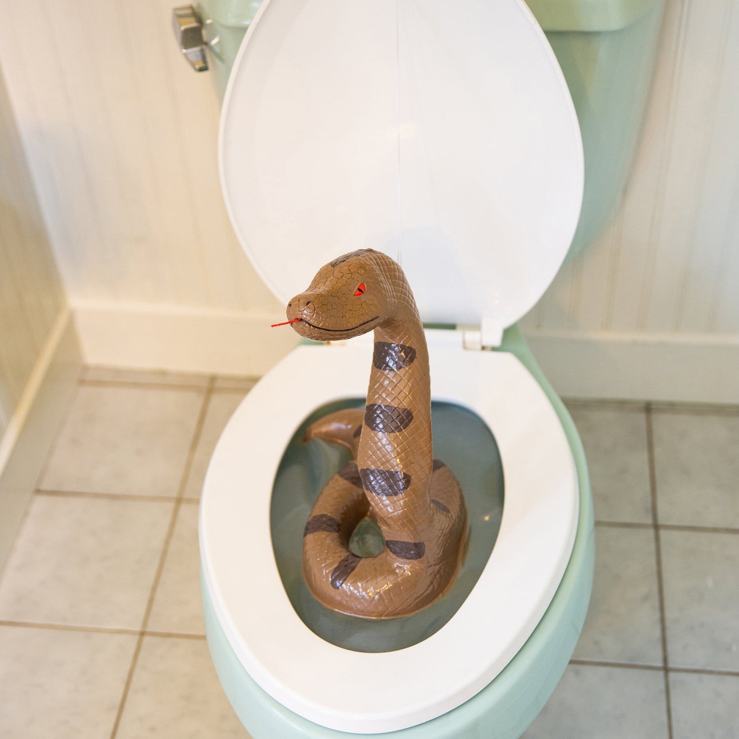 Toilet Snake