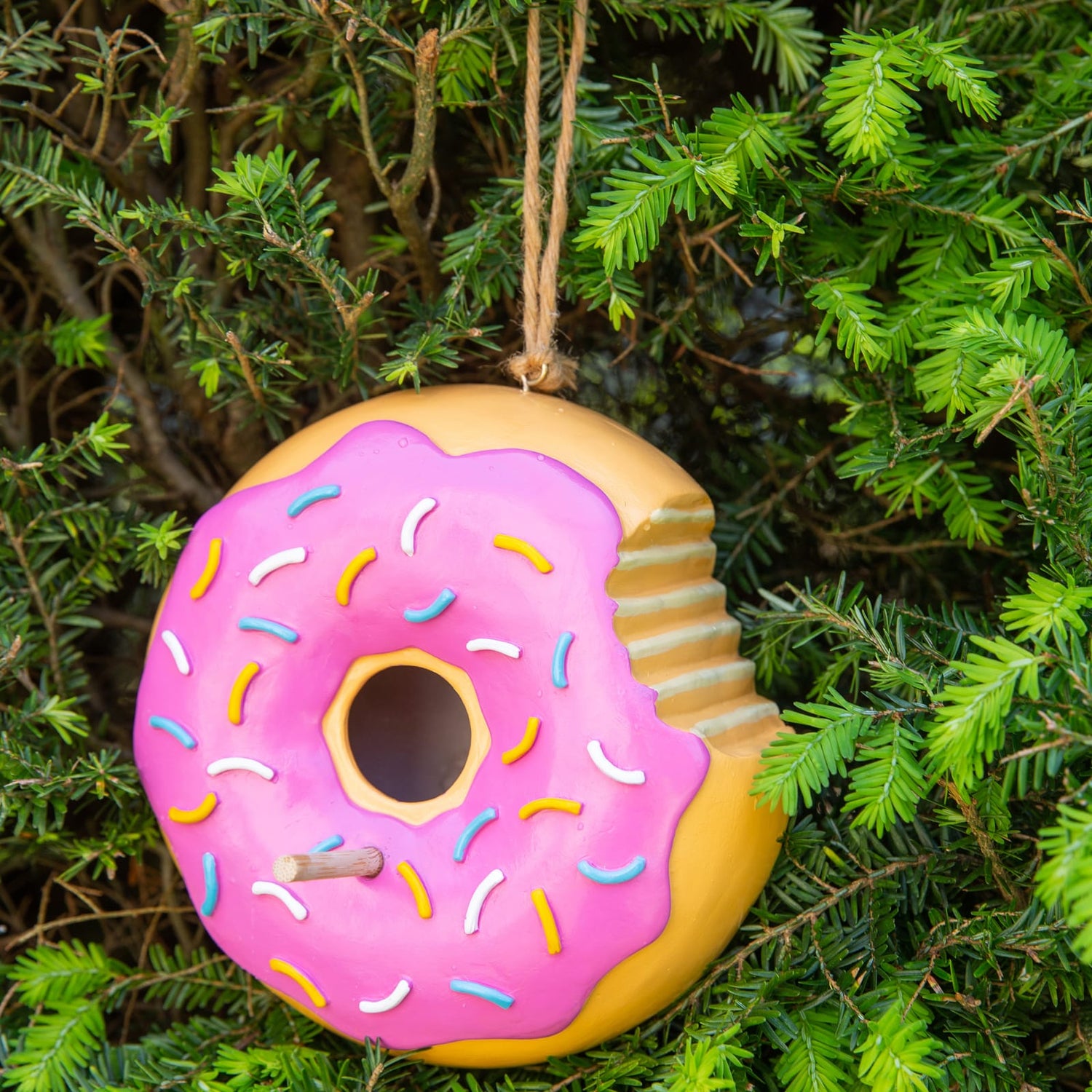 Donuts for Birds Birdhouse
