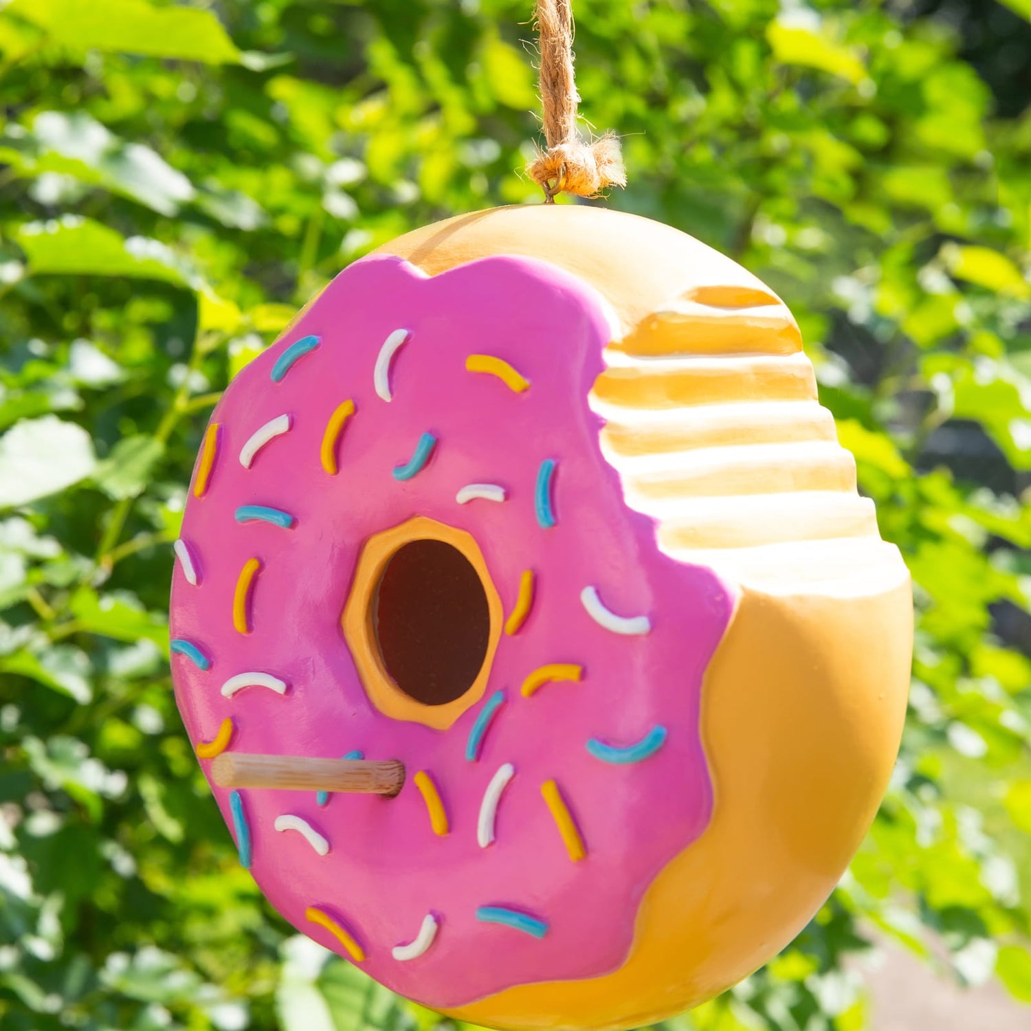 Donuts for Birds Birdhouse