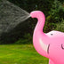 Ginormous Pink Elephant Yard Sprinkler